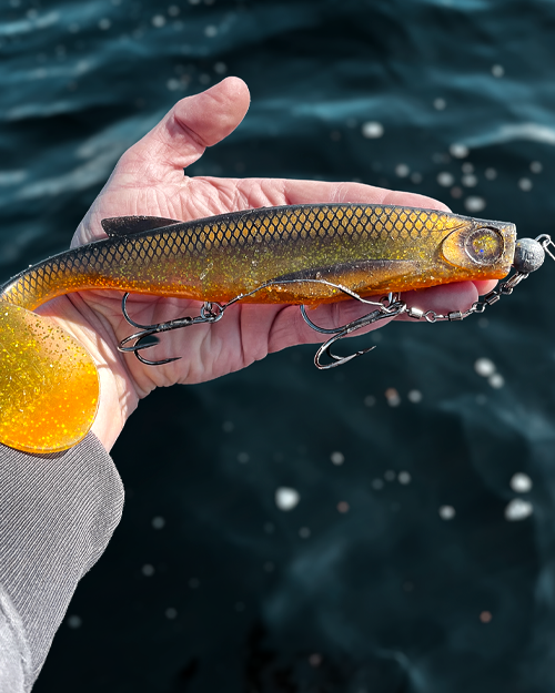 Sportfishtackle.no - Eksperter innen fiske, sportsfiske og fluefiske